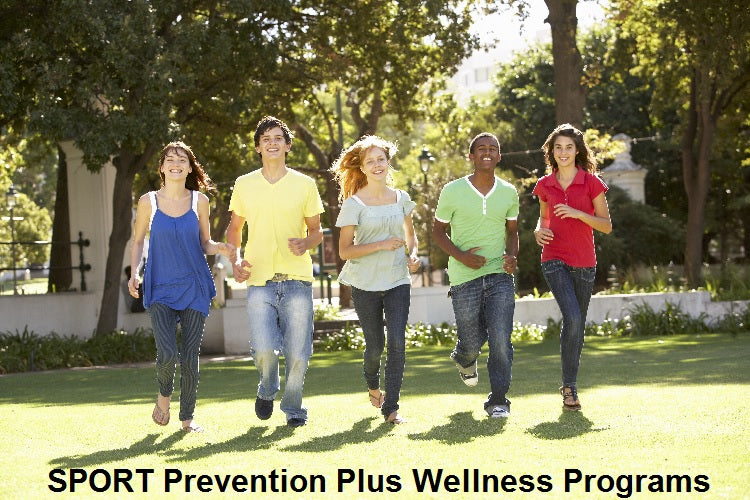 New Prevention Resources, Logic Model & Awards – Prevention Plus ...